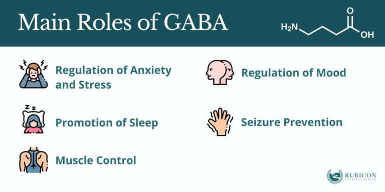 Gaba: Definition, Functions, Production, Release, Role In Addiction And ...