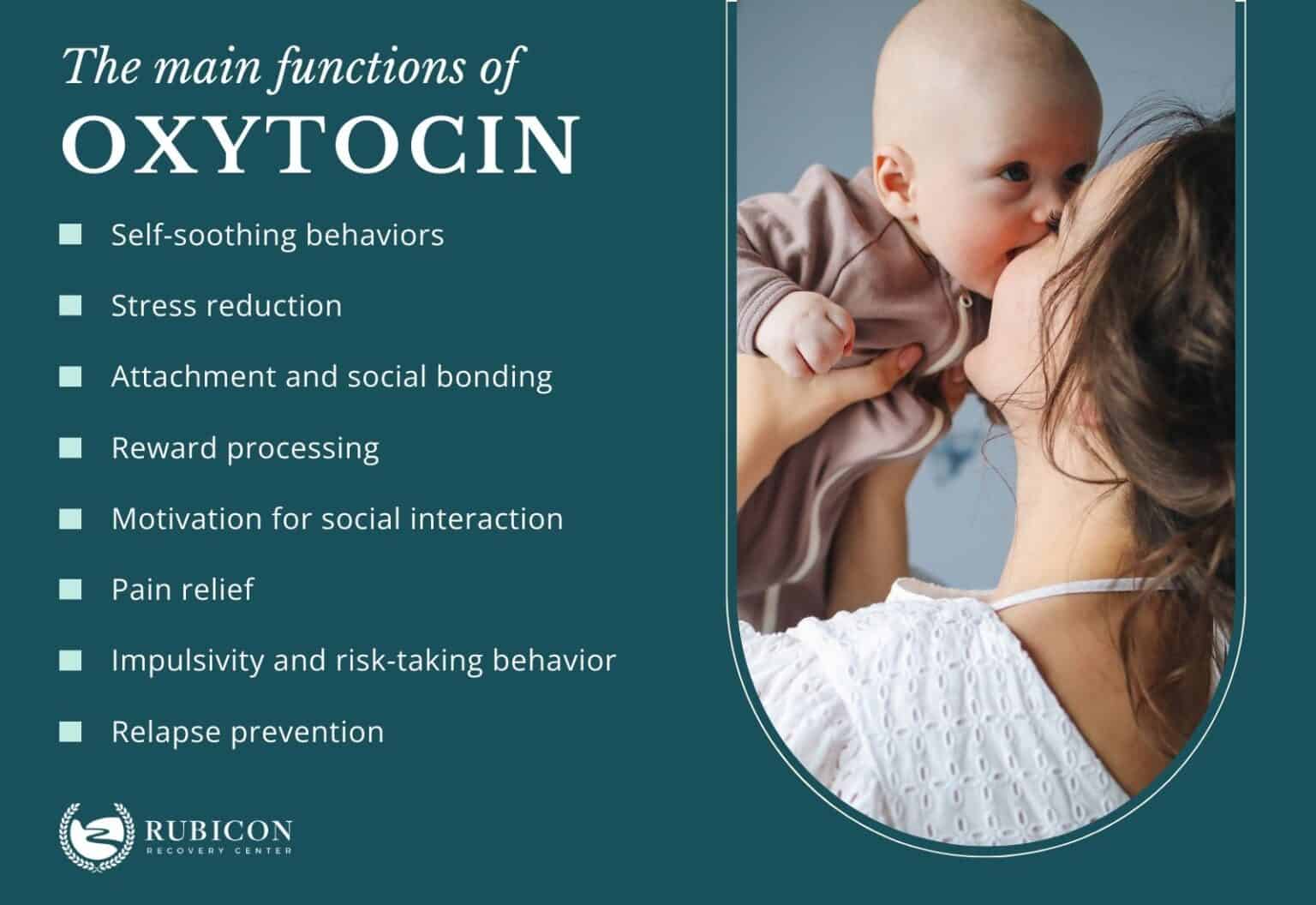Oxytocin Addiction - Definition, Functions, Production, & More - NJ
