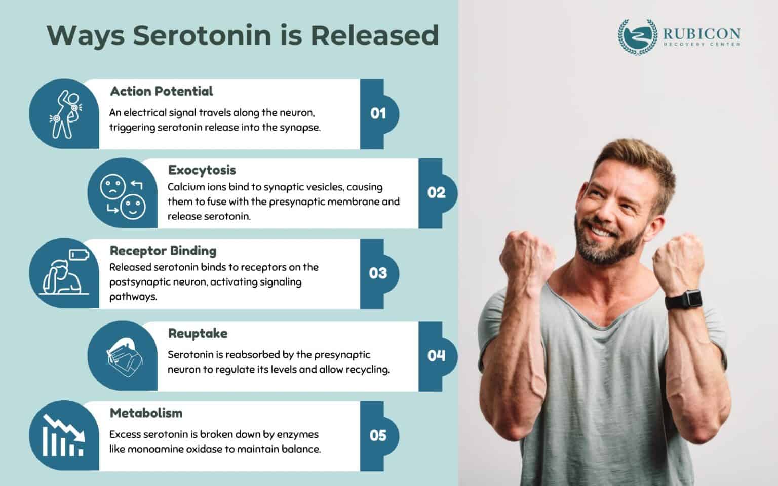 Serotonin: Definition, Functions, Release and its role in addiction ...
